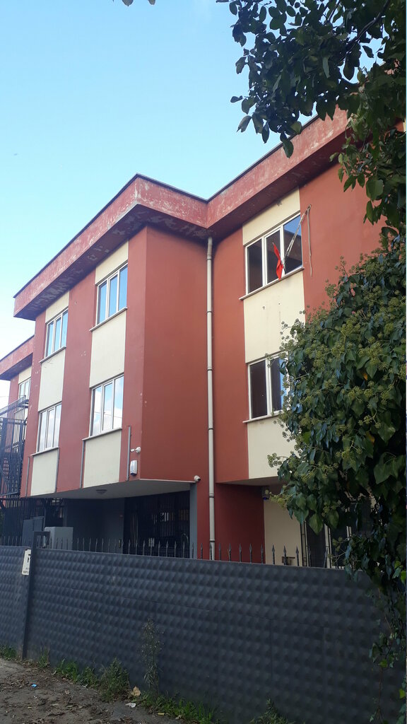 Ayakkabı firmaları Nebula Terlik Ve Ayakkabi Pazarlama, İstanbul, foto