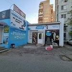 Рыба (Nikolaya Ostrovskogo Street No:166), balık ve deniz ürünleri  Astrahan'dan