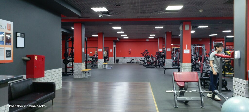 Spor kulüpleri Kings, Krasnogorsk, foto