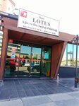 Lotus Ağız ve Diş Sağlığı Polikliniği (Ankara, Etimesgut, Şehit Osman Avcı Mah., Malazgirt 1071. Cad., 43B), özel ağız ve diş sağlığı klinikleri ve muayenehaneleri  Ankara'dan