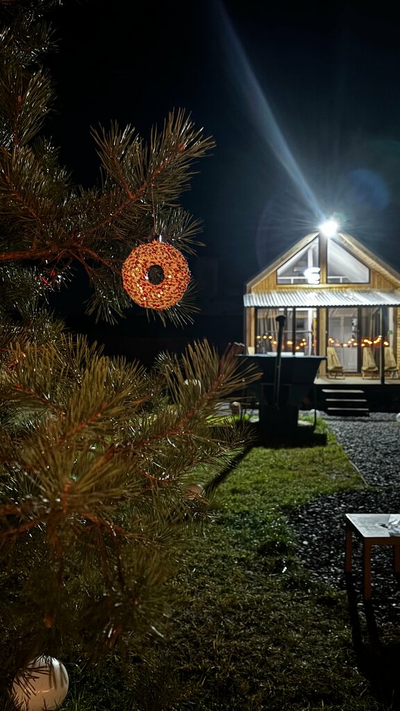 Resort oteller, tesisler Alaren Housre, Kurskaya oblastı, foto