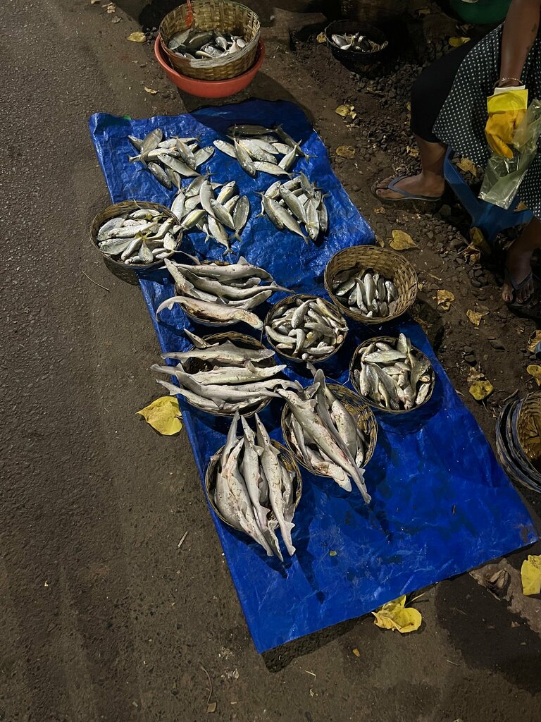 Gıda pazarı Panjim Market, Panaji, foto