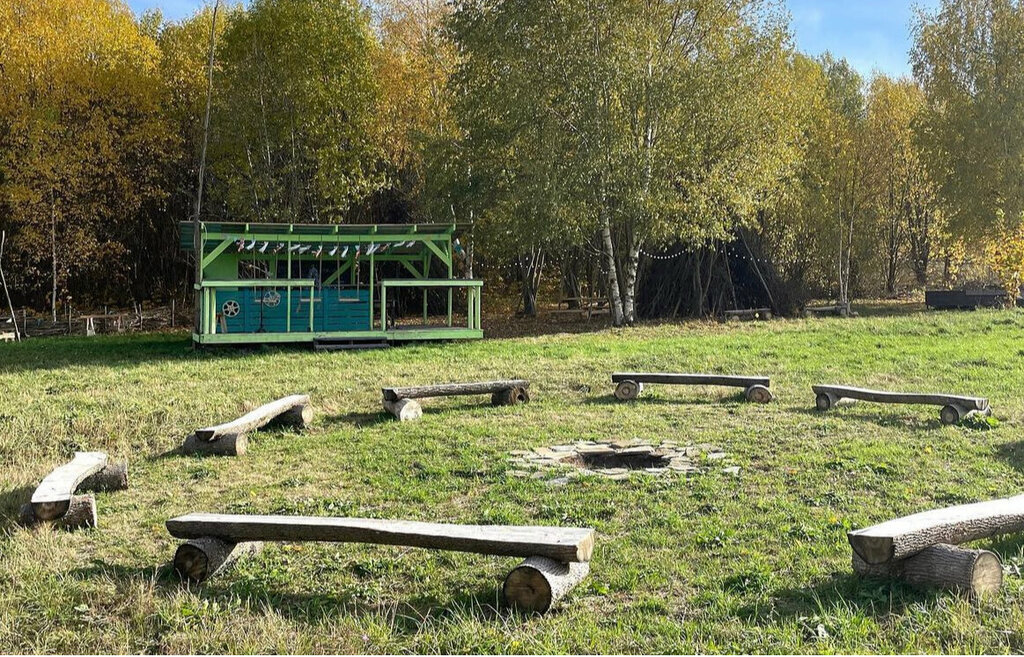 Piknik alanı Place for picnic, Yaroslavskaya oblastı, foto