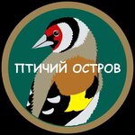 Bird Ireland (ulitsa Krasnykh Zor No:24, posyolok Sakko i Vantsetti), hayvan barınakları, kulüpleri ve otelleri  Volgograd'dan