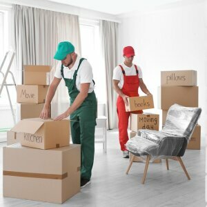 Evden eve nakliye Al Bahir Furniture Movers, Abu Dabi, foto