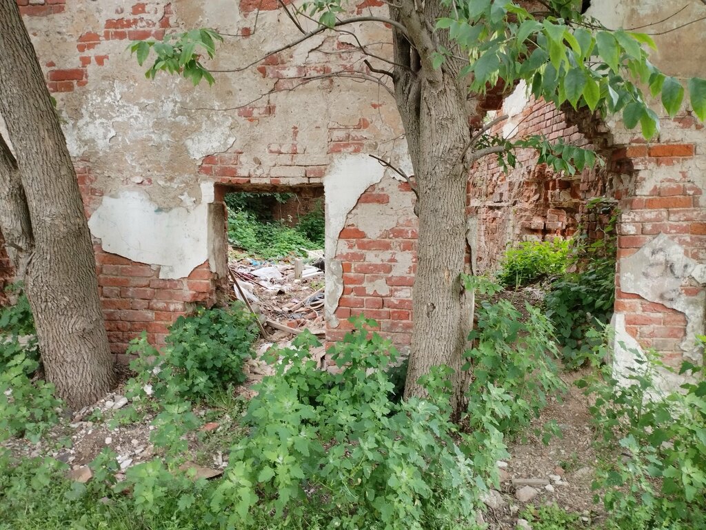 Turistik yerler Особняк Голубкова, Rostov, foto