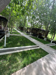 Zolotaya ribka (Ferghana Street No:4А, Muruvvat mahalla fuqarolar yigʻini), kafe  Fergana'dan