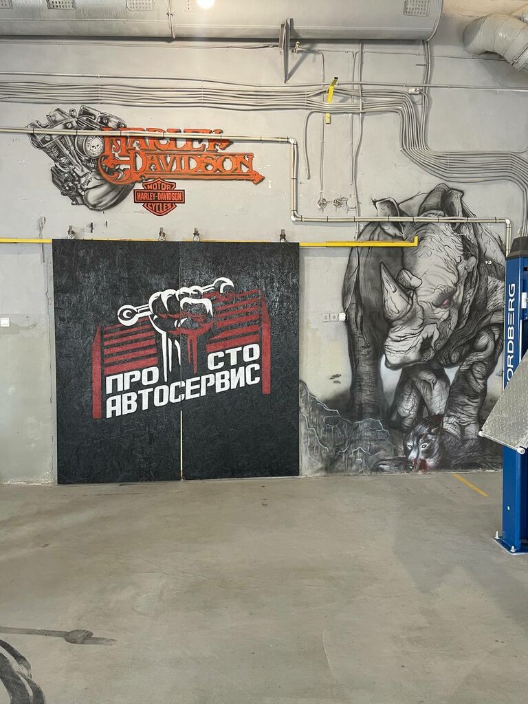Otomobil servisi Простоавтосервис, Belgorod, foto