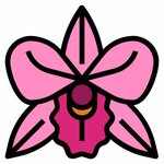 TropicalOrchid (Adeskaja Street No:20А), çiçekçiler  Minsk'ten