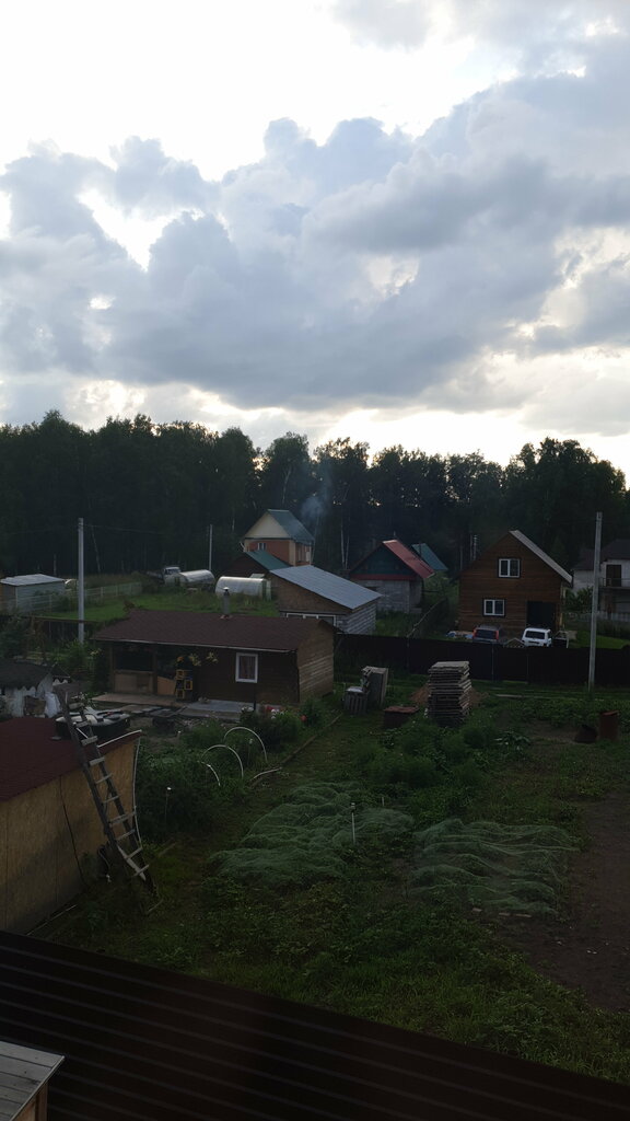 Bahçecilik dernekleri ve kuruluşları СНТ Берёзовая роща, Novosibirskaya oblastı, foto