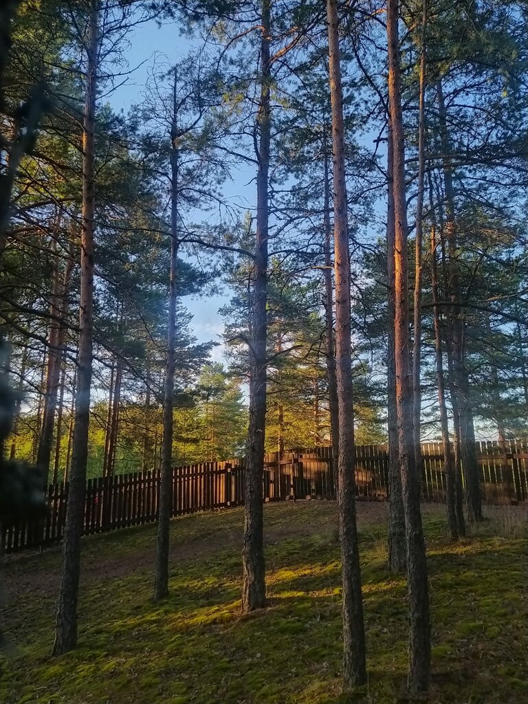 Yazlık ev inşaatı Дачи Сканди 3+4, Karelya, foto