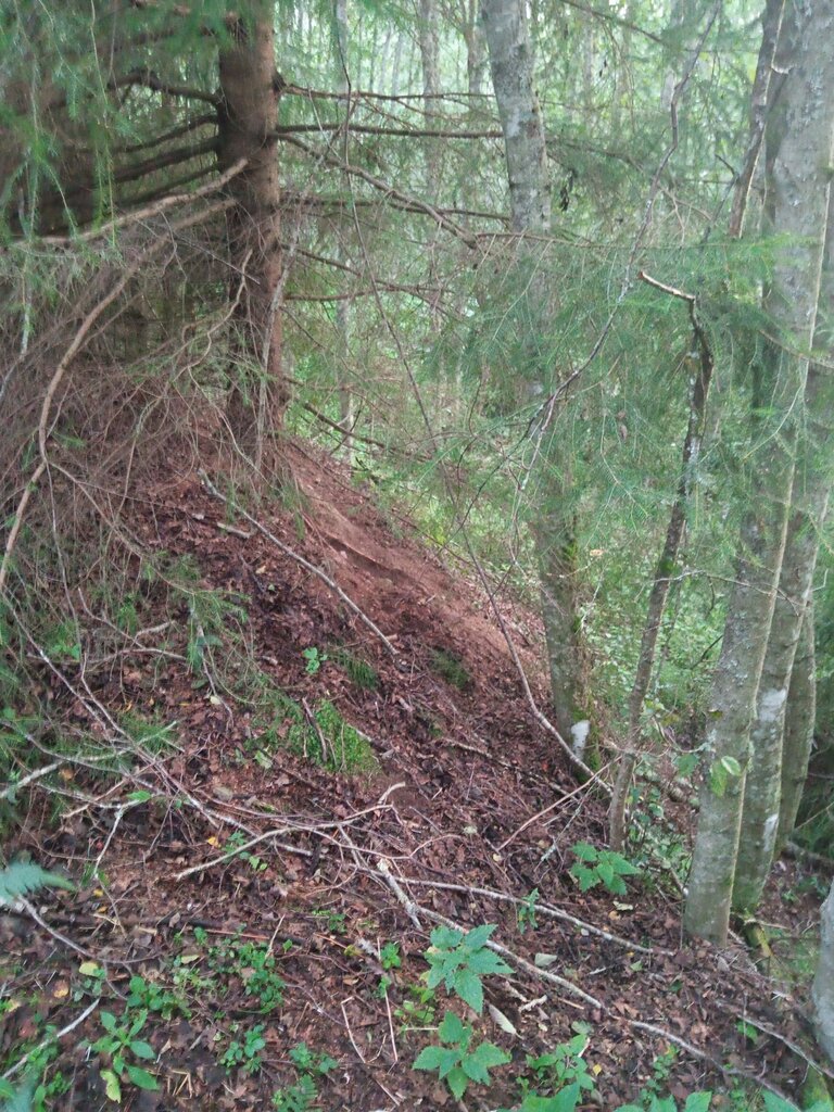 Dağ zirvesi Гора Дегтяри, Novgorodskaya oblastı, foto