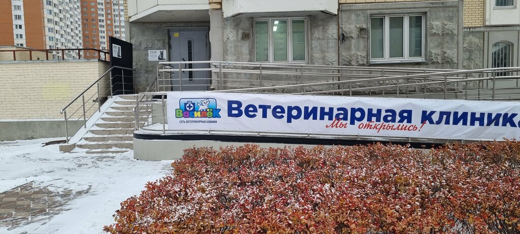 Sivil toplum kuruluşları Седьмое поколение, Moskova, foto