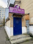 Артемон (ulitsa Loginova No:53), evcil hayvan kuaförleri  Arhangelsk'ten