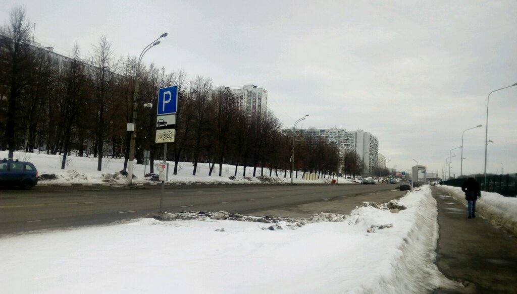 Otopark alanı Парковочная зона № 4054, Moskova, foto