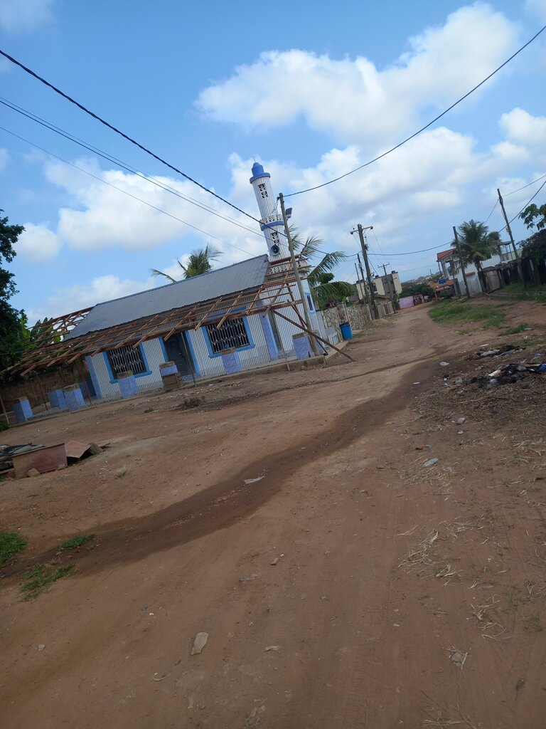 Cami Mosque, Dünya, foto