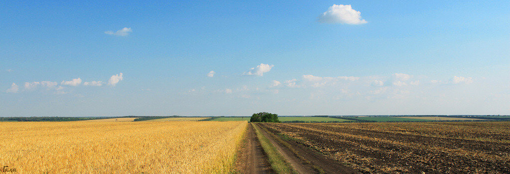 Otogaz dolum istasyonu СПА колхоз Ворошилова, Stavropolski krayı, foto