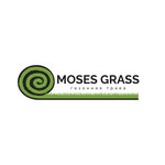 Moses Grass (Vladimir Stasov kóshesi No:102/3), peyzaj tasarımı  Almatı'dan