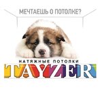 Tayzer - natyazhnyye potolki (Belkinskaya Street No:43Б), tavan sistemleri  Obninsk'ten