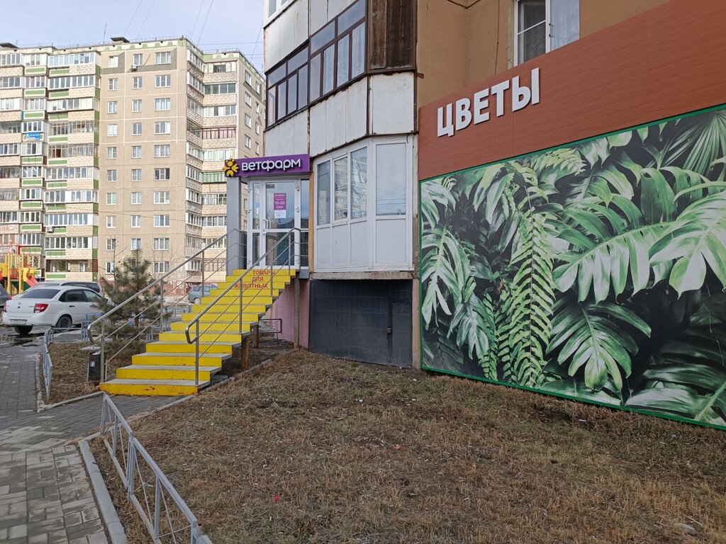 Petshop Vetfarm, Çeliabinsk, foto