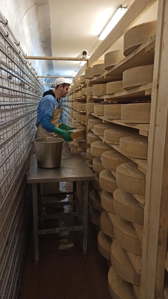 Mandıra Eco Village, Yaroslavskaya oblastı, foto