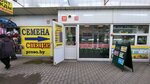 Семена (Kulman Street No:9), tohum satan yerler  Minsk'ten