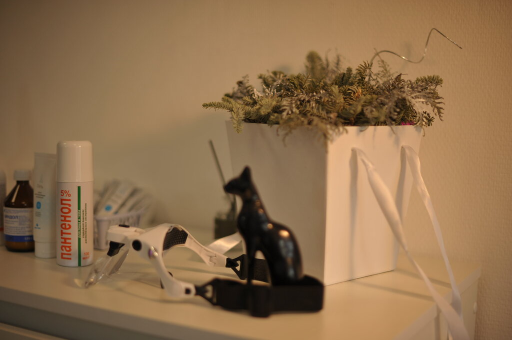 Epilasyon Lisaya_kisa_epil, Moskova, foto