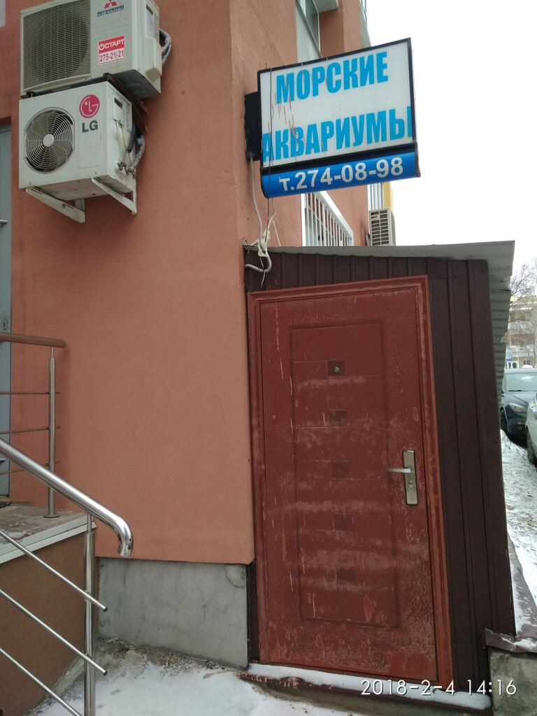 Akvaryumlar Морские аквариумы, Samara, foto