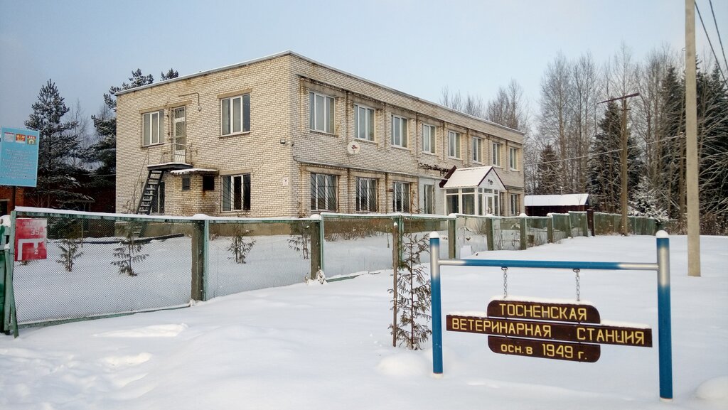 Veteriner klinikleri Tosnenskaja vetlechebnica, Tosno, foto