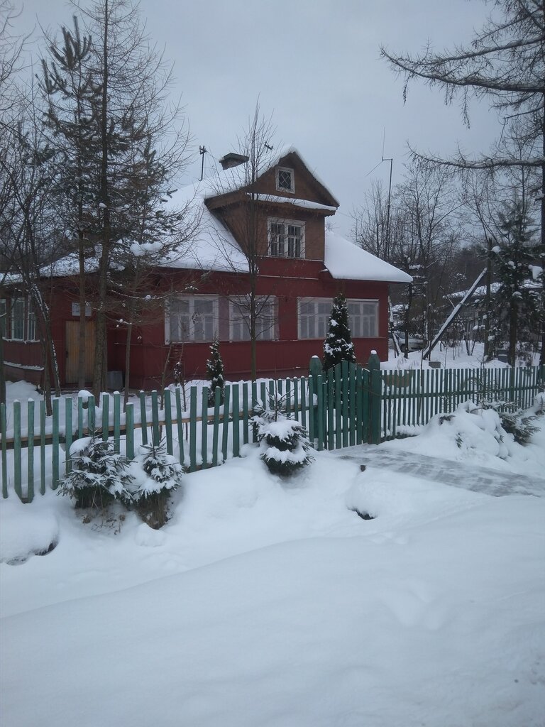 Orman işleri Okhtinsky uchebno-opytny leskhoz, Saint‑Petersburg, foto