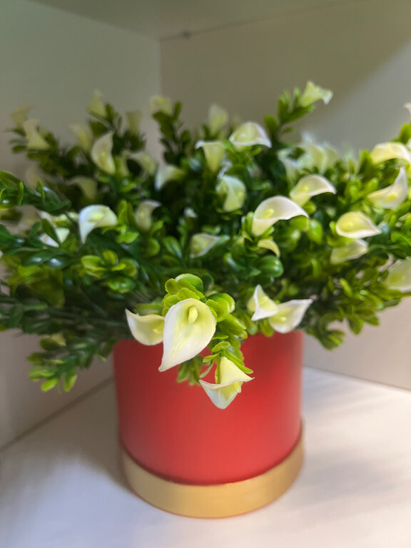 Çiçekçiler Lavanda, Murom, foto