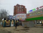 Три Кота и маленькая собачка (70 Let Oktyabrya Street No:41А), petshop  Tolyatti'den (Togliatti'den)