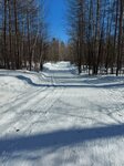 Snezhinka (Yubileynaya ulitsa No:8, zhiloy rayon Energetik), kayak merkezleri  Bratsk'tan