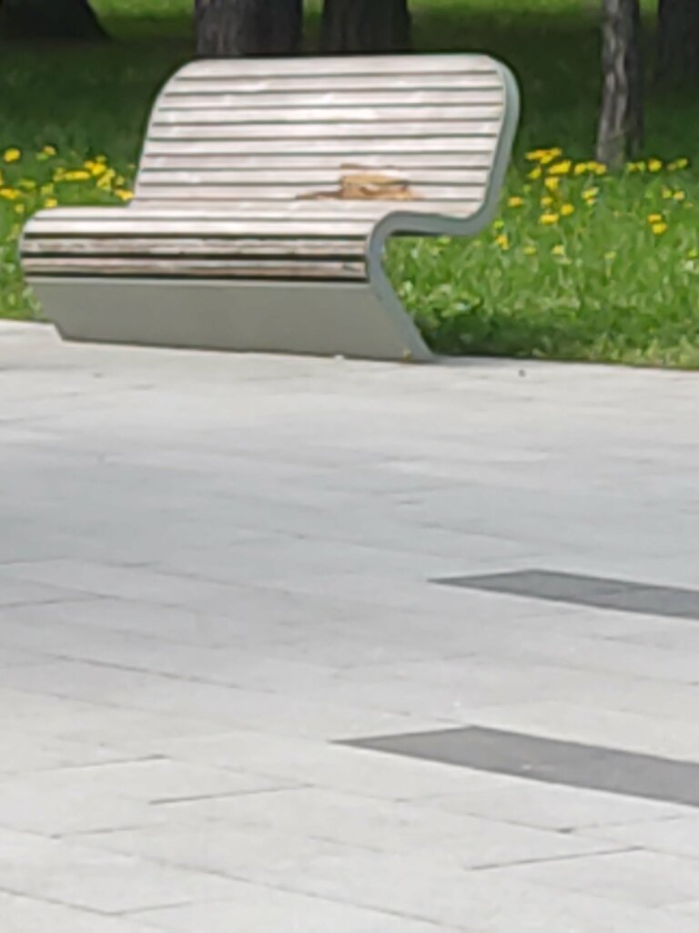 Bank Bench, Moskova, foto