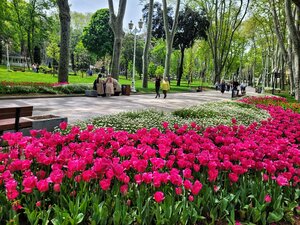 İbb Gülhane Korusu (İstanbul, Fatih, Cankurtaran Mah., Gülhane Parkı), parklar ve ormanlar  İstanbul'dan
