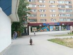Бавария (ulitsa Mira No:28), bira dükkanı  Voljski'den