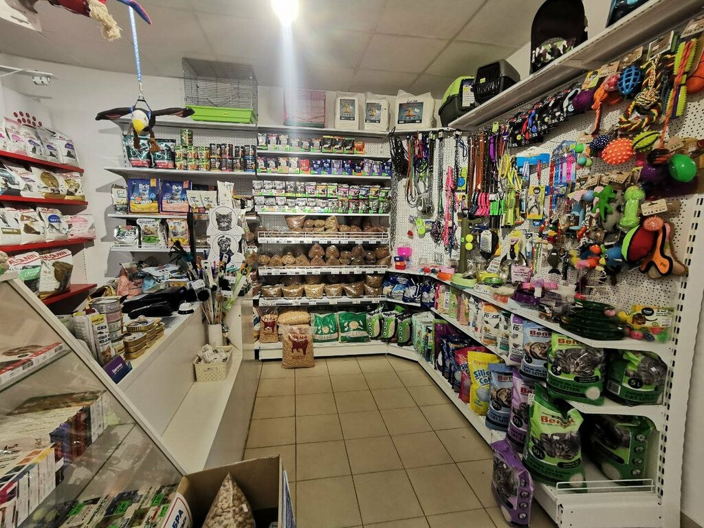Petshop Zooland, Çerven, foto