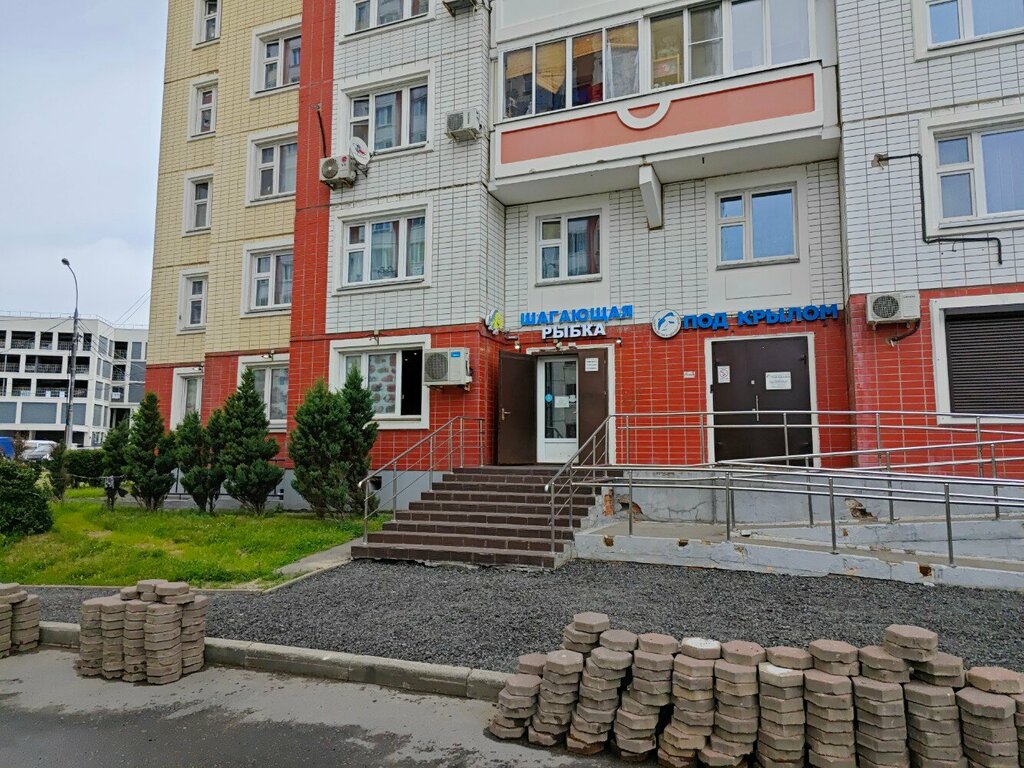 Çocuk gelişim merkezleri Под крылом, Himki, foto