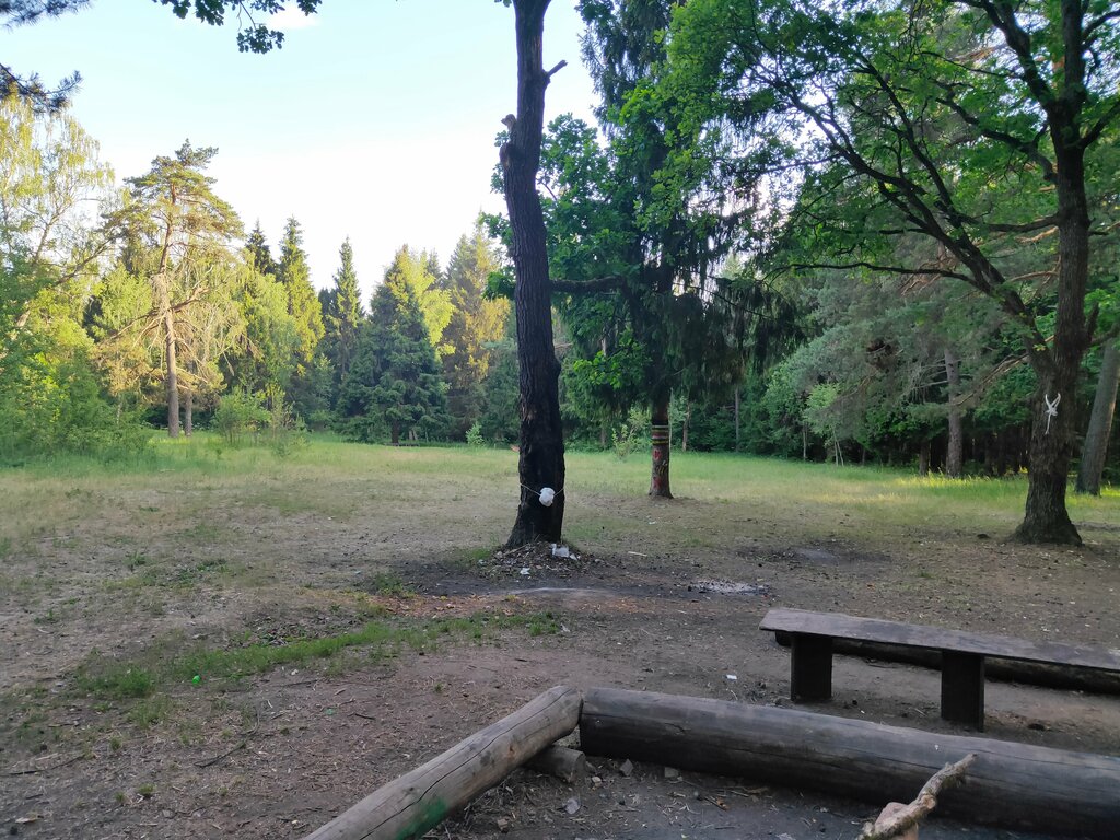 Piknik alanı Place for picnic, Obninsk, foto