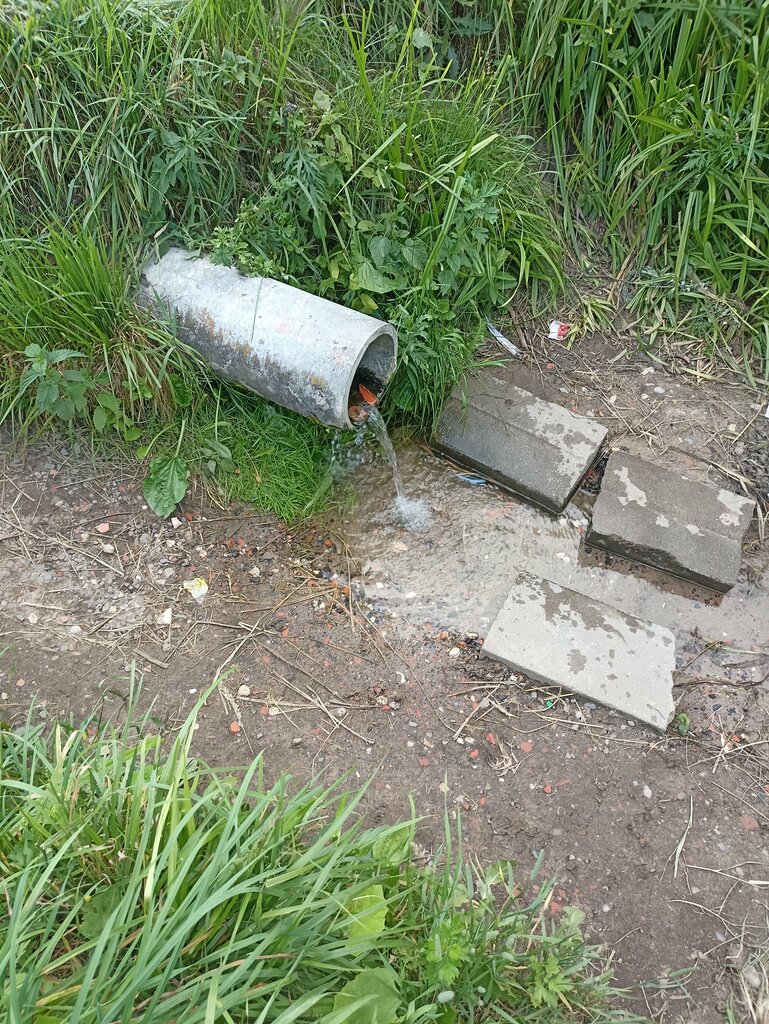 Pınar, çay Spring, stream, Moskova ve Moskovskaya oblastı, foto
