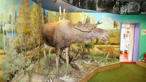 Müzeler ve sanat galerileri Муниципальное бюджетное учреждение культуры Чебулинский районный краеведческий музей, , foto