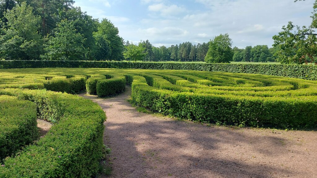 Turistik yerler Лабиринт, Peterhof, foto