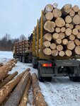 Спс лес (ulitsa Michurina No:1/12), ahşap endüstrisi  Asino'dan
