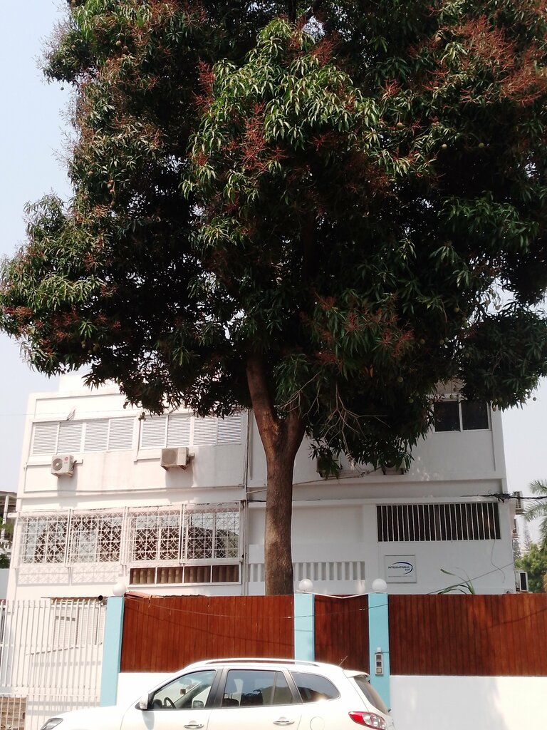 Tıp merkezleri ve klinikler International SOS Maianga Clinic, Loanda, foto