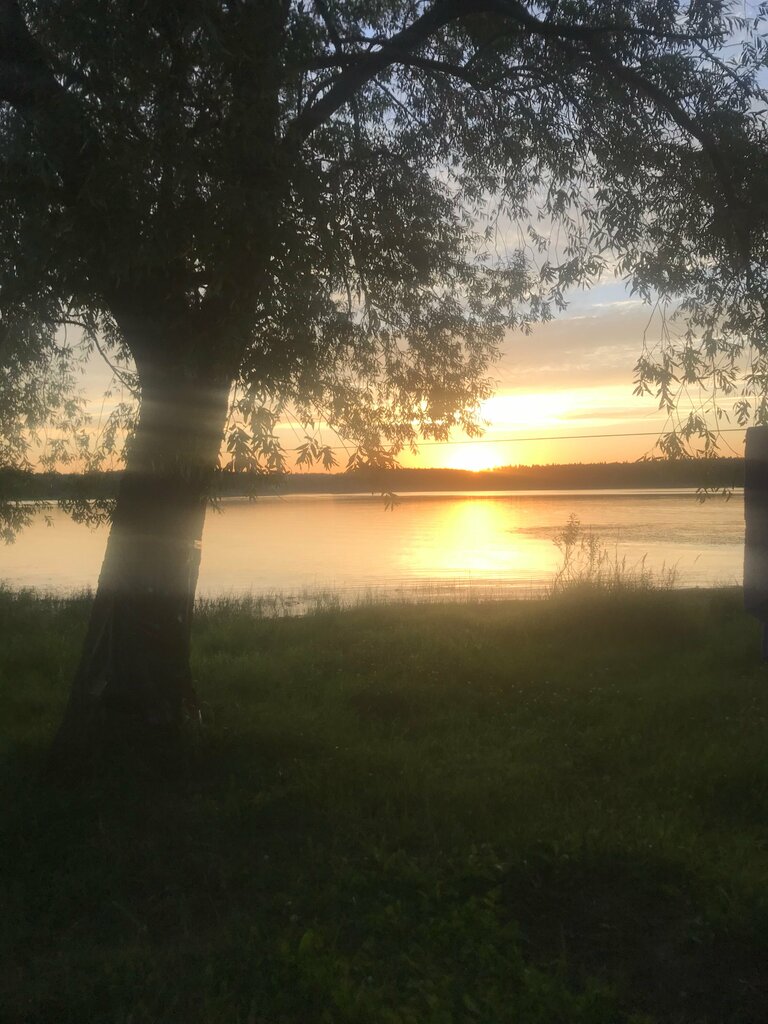 Plaj Пляж, Moskova ve Moskovskaya oblastı, foto