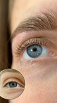 Your Polly Brows (Gilyarovskogo Street No:6с1), kaş ve kirpik salonu  Moskova'dan
