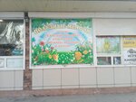 Полезные мелочи (Volgograd Region, Volzhsky, 13-y mikrorayon, ulitsa Mechnikova), çocuk oyunları ve oyuncakları  Voljski'den