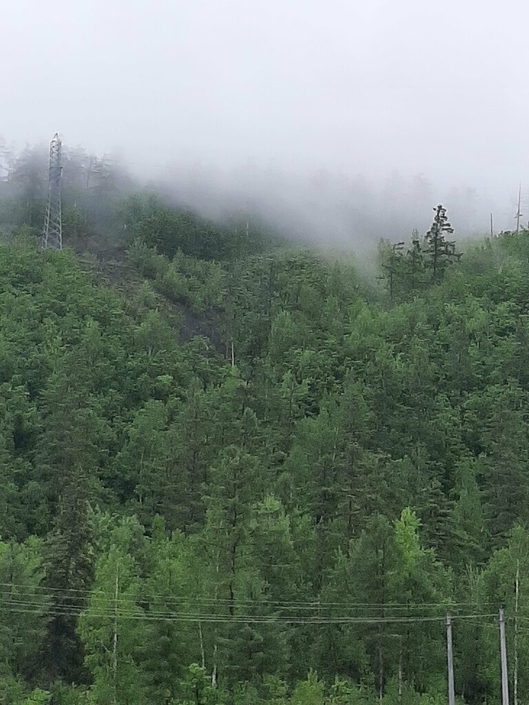 Tren istasyonu станция Кенай, Habarovski krayı, foto