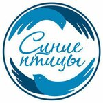 Sinie Ptici (Germana Titova Street No:2к3), sanat okulları  Himki'den