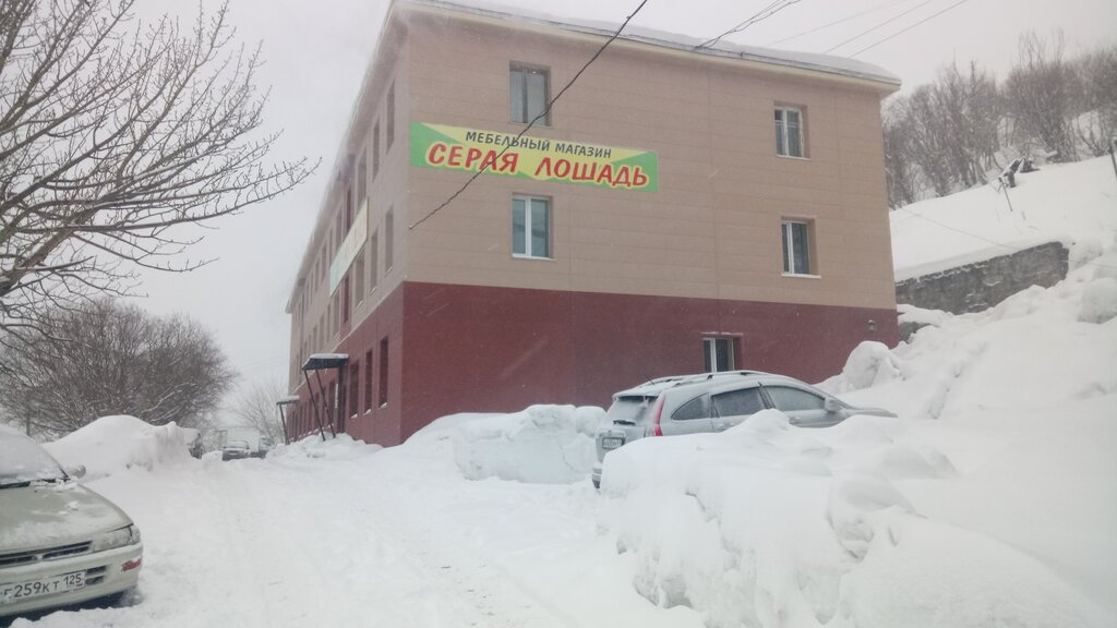 Mobilya mağazaları Seraya loshad, Petropavlovsk, foto